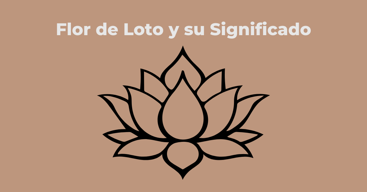 Significado De La Flor De Loto Blanca La Flor De Loto, Una Planta